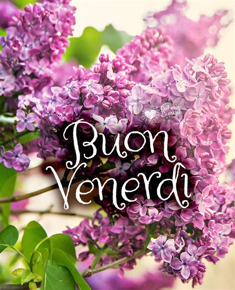 Pagina 2 Di Immagini Buon Venerdì Gratis E Nuove Per Whatsapp E Facebook