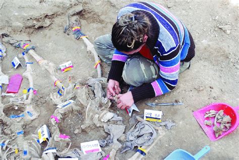 The Exhumation Process Download Scientific Diagram