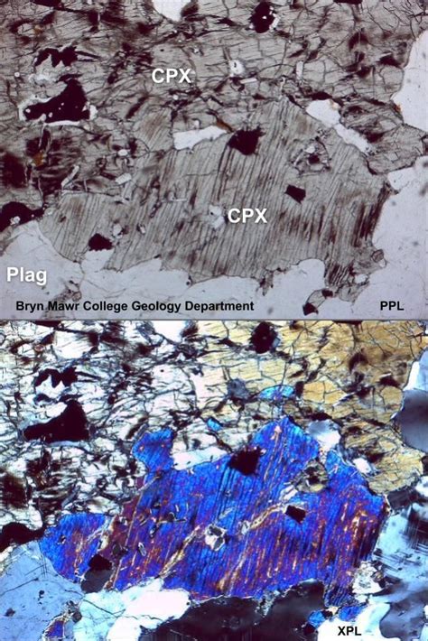 Clinopyroxene Cpx In Ppl Top And Xpl Bottom Showing Exsolution