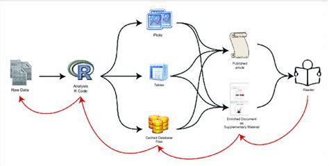 this figure explains the basic idea of reproducible research the raw