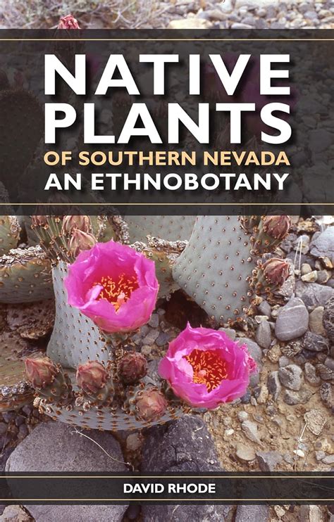 Native Plants Of Southern Nevada Rhode David 9780874807226 Amazon