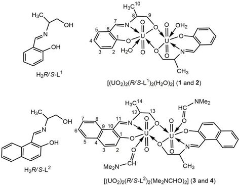 The Chemical Structure Diagrams Of The Schiff Bases And Their Complexes