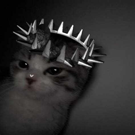 Cat With Roblox Limited Fond Decran Dessin Portraits De Personnages Idées Esquisses