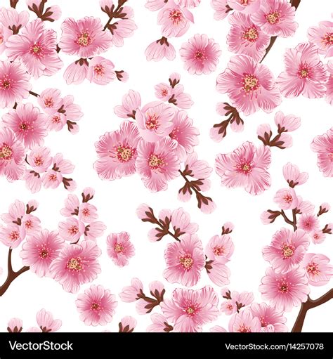 Sakura Flower Seamless Pattern Royalty Free Vector Image