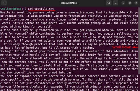 如何在 Linux 中打開文件？ 0x資訊