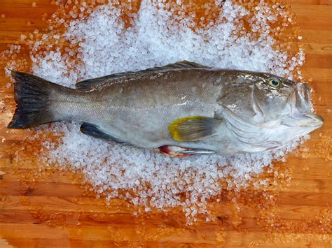 Yellowedge Grouper Keys Fresh Seafood