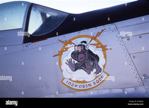 Nose Art On Wwii P 51mustangs That Personalize The Airplanes Or Honor