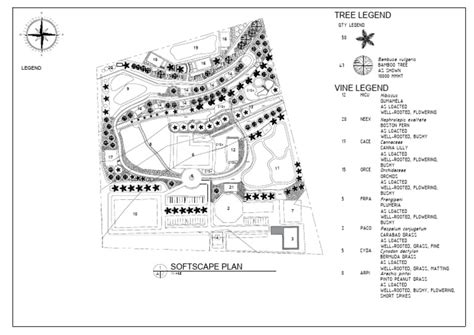 Softscape Sa Porfolio Pdf Plants Botany