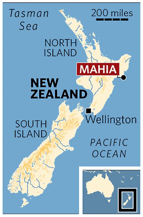 Save The Whales How Moko The Dolphin Came To The Rescue Of A Mother And Her Calf The