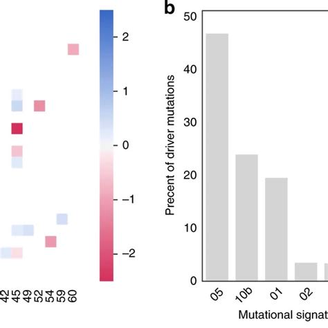 Sex Specific Exposure Analysis With Mutational Signatures A Heatmap Of