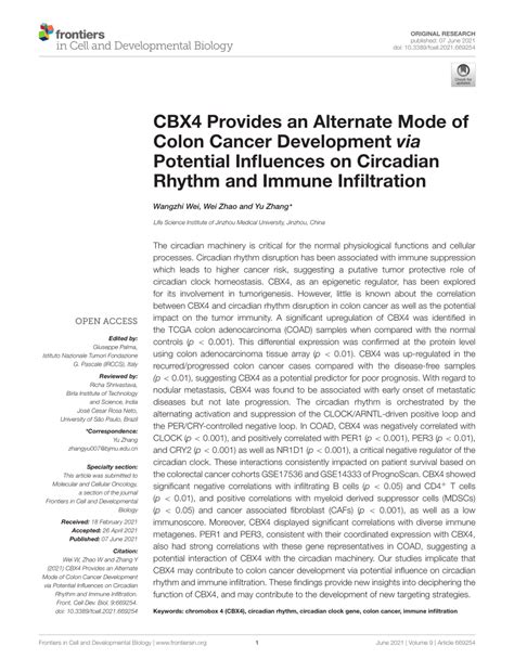 Pdf Cbx4 Provides An Alternate Mode Of Colon Cancer Development Via