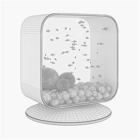 Modern Rectangular Aquarium 3d Model Download Hobbies On