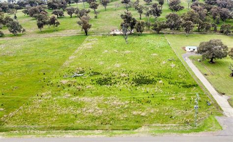 Sold 16 Dowling Drive Murringo Nsw 2586 On 10 Jan 2023 2018180159 Domain