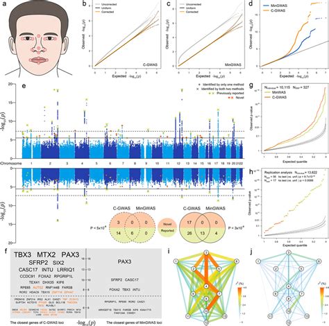 C Gwas Analysis Of 78 Correlated Facial Traits And Replication C Gwas