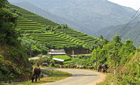 Lao Cai Vietnam Reise Tipps Für Einen Spannenden Urlaub