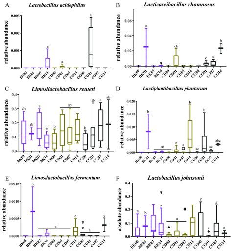 Effects Of Different Probiotic Compound Combinations On The Gut