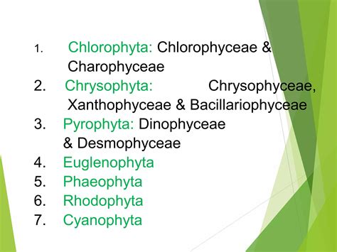 Classification Of Algaepdf
