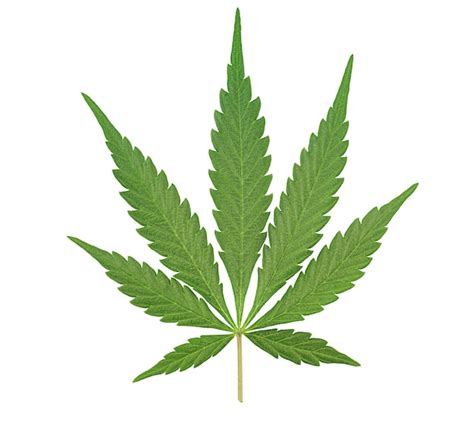 70000 Hemp Symbol Pictures