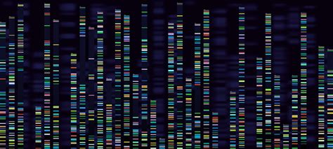 Our Views On Genetic Modification · Plant And Food Research