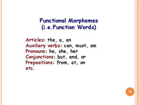 Unit 6 Morphology Morphology It Is A Branch