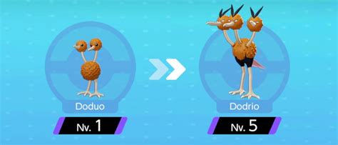 Pokémon Unite Dodrio