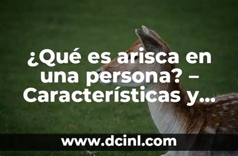 ¿qué Es Arisca En Una Persona Características Y Significado