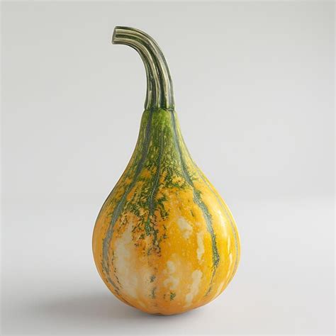 Fresh Squash Vegetable Isolated On White Premium Ai Generated Image