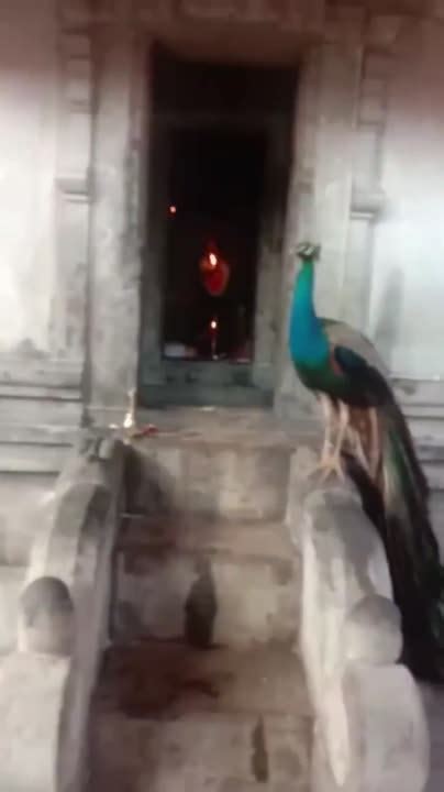 Sameer Seth Posted On Linkedin