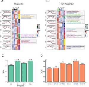 A Less Invasive More Effective Method To Analyze Immunotherapy Efficacy