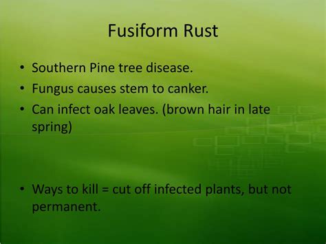 Ppt Forestry Powerpoint Presentation Free Download Id4229853
