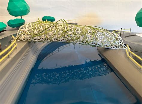 Voronoi Pedestrian Bridge 22 Steps With Pictures Instructables