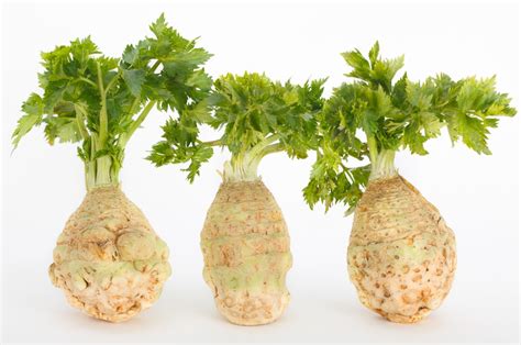 Celer Nadopovaný Zdroj Vitamínu B 30tidennivyzvacz