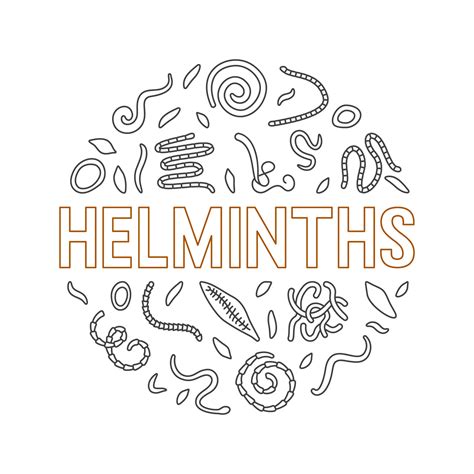 Vector Helminths Round Banner With Fluke Tapeworm Nematode