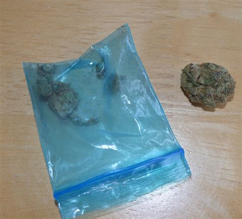 What Do Drugs Look Like Drugwise