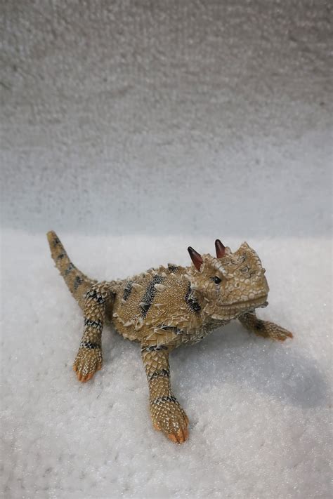 Polyresin Horny Toad Figurine Jt