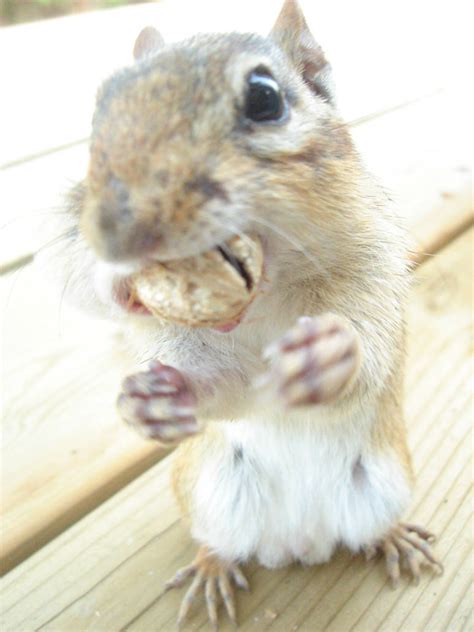 Nohands By Pixie Nyxie On Deviantart