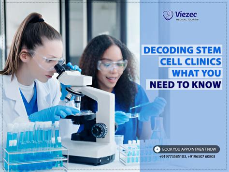 Decoding Stem Cell Clinics What You Need To Know