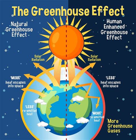 Diagram Showing The Greenhouse Effect Stock Vector Illustration Of