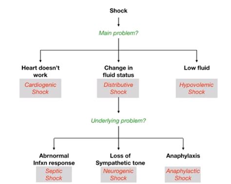 Types Of Shock Dirty Flashcards Quizlet