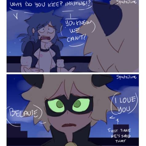 Dit Ladybug Miraculous Ladybug Fr Amino