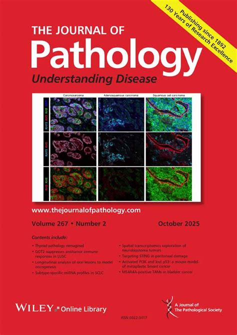 Dermal Dendrocytes And Other Factor Xiiia‐positive Cells Suvarna 1993 The Journal Of