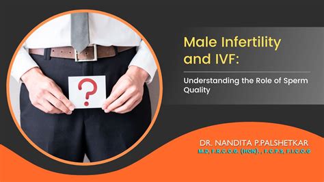 Male Infertility And Ivf Understanding The Role Of Sperm Quality