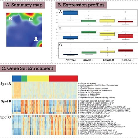 Comparison Of Exsom Portrayal Of Breast Cancer Transcriptome