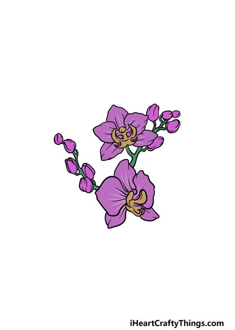 Purple Orchid Drawing