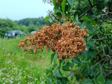 Realme Pro Review A Mid Ranger That Looks Like A Flagship Root Nation Com