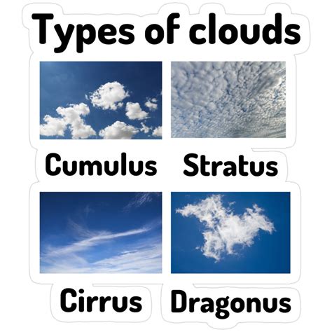 Types Of Clouds Cumulus Stratus Cirrus Dragonus Sticker In 2025