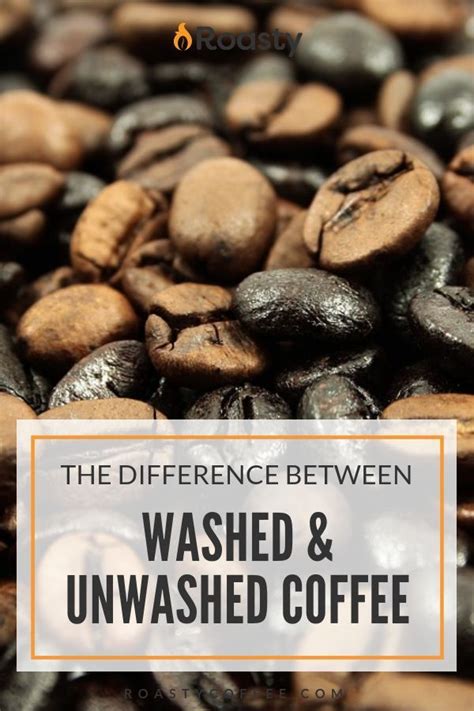 Comparing Coffee Processing Methods Artofit