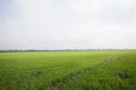 Dong Lua 002 By Trantandesign On Deviantart