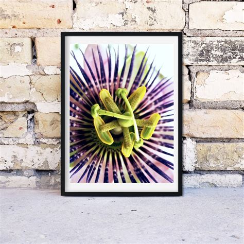 Passionflower Print Passion Flower Art Exotic Flower Photography Passiflora Framed Print