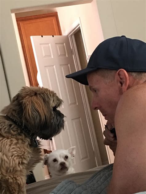 Need Caption Album On Imgur